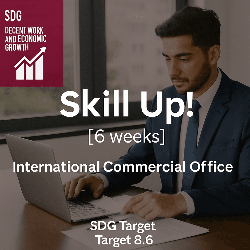 International Commercial Office | Global Volunteer | AIESEC